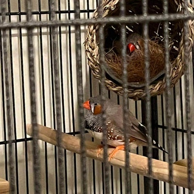 Cute Yoga Monk Statue Buddha Sculpture Novice Monk Ceramic - Etsy