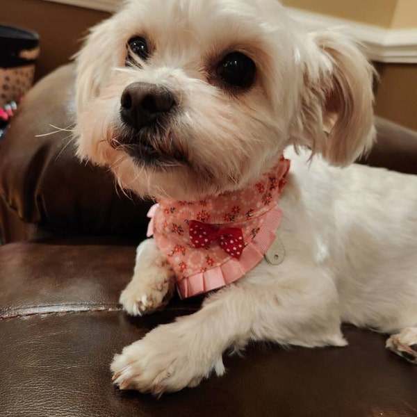 Dog Ruffle Collar, Budding Blooms Dog Scrunchie Collar With Pink ...