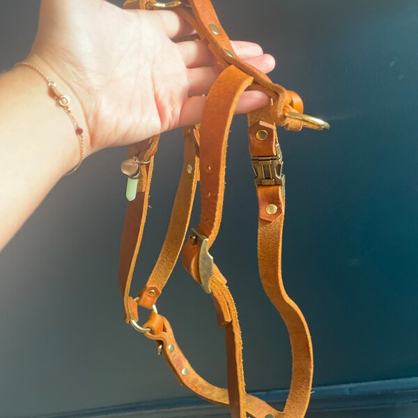 BIOTHANE DOG HARNESS, Large Breeds Training Harness, Biothane Beta ...