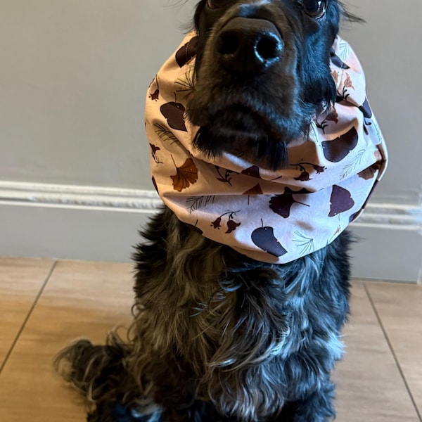 Cotton Dog Snood | Green Summer Snood for Dog | Handmade Cocker Spaniel ...