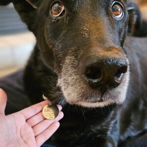 Cute Dog Tag, Personalized Dog Tag, Dog ID Tag, Dog Tags for Dogs, Dog ...