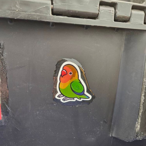 Corydoras Catfish Stickers - Etsy