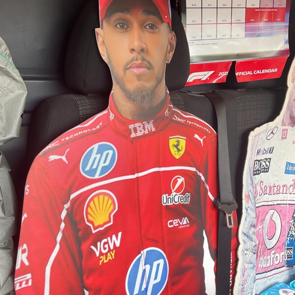 Kakashi, Kento, Megumi, Saitama, Sasuke, Suguru, Zayne, Monkey Luffy ...