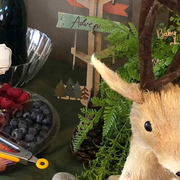 Adventure Wilderness Table Decorating Kit, 3 Piece Set, Wild One Party ...