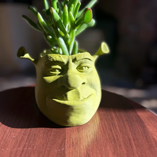 Unique Shrek Head Planter Pot - Cactus Pot and Pen Holder - FAST ...
