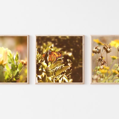 Three Square Frame Mockup, Three Frames Mockup, 3 Square Frames, Three ...