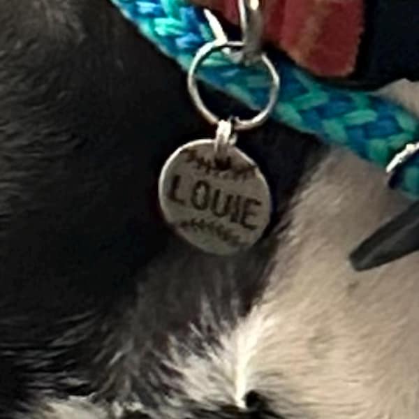 Custom Dog Tags, Dog Tags for Pets, Dogtags, Pet Tags, Pet Tags for ...