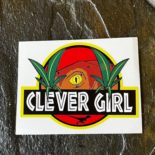 Librafluid/flux Flag, LGBTQIA Pride Flag Full Color Static Window Cling ...