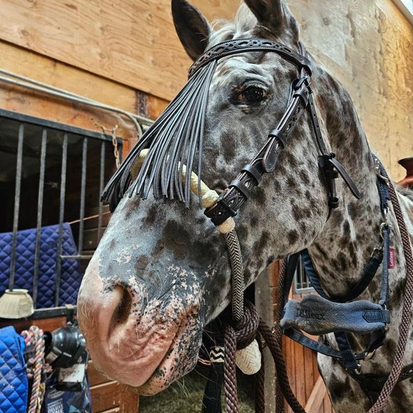 Pair Adult Size Genuine Leather Western Spur Straps FREE Shipping - Etsy