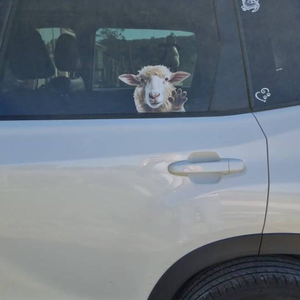 Sheep Car Decal - Cute Peek-a-boo Window Sticker,waving Gesture, 9 X 6. ...
