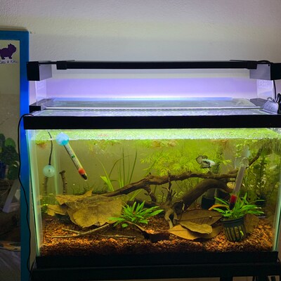 Nicrew Classic, Gen 2, G2, & Plus LED Light Riser, Attractive Stable ...