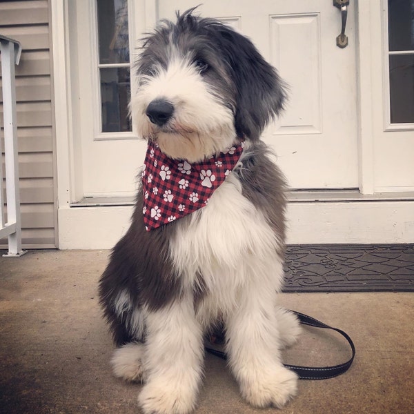 Cowboy Killer SVG for Making T-shirts - Etsy