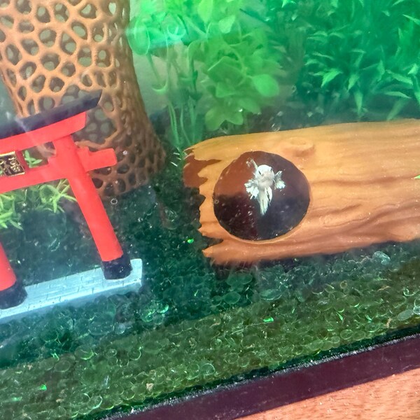 Hollow Log Fish Tank Decoration Fish House Reptile Hide Terrarium Decor ...