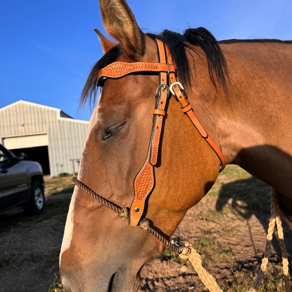Light Oil Basketweave Tan Loping Hackamore #LHK013 - Etsy