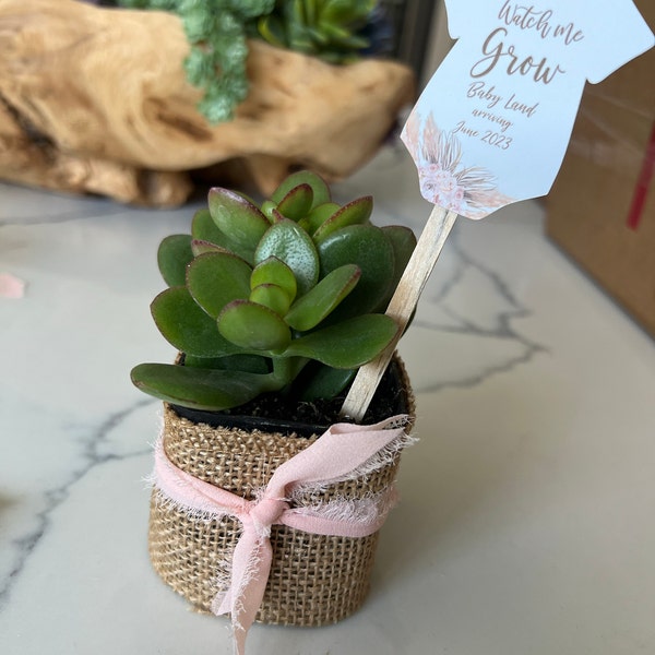Editable Sign for Succulent Favors Greenery Editable Sign 8.5" X11 ...