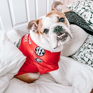 2022 2023 CFP Patch Combo Georgia College Football Playoff National ...