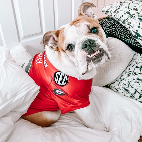 Arkansas SEC Conference Patch 2 1/2" Round Official NCAA Logo Iron or ...