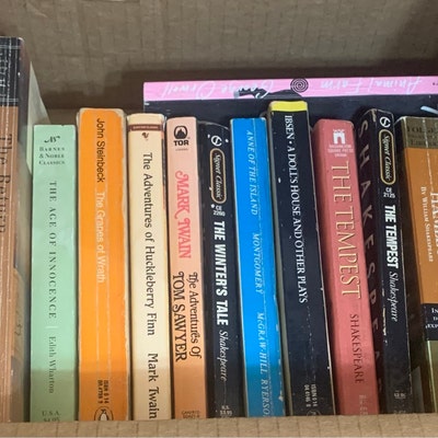 Educational Picture Books Instant Classroom Library Chapter - Etsy