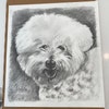 Custom Graphite Pencil Pet Portraits Two 5x7 - Etsy