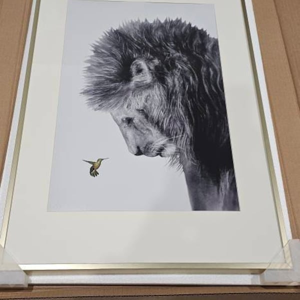 Sloth and Hummingbird Pencil Drawing Print, Original Drawing 3x2 Print ...