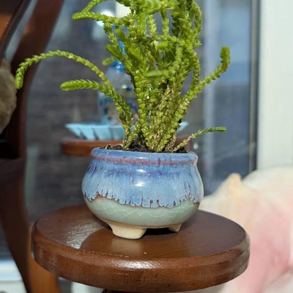 Tiny Succulent Planters Handmade Pottery Gift for Mommy, Mini Succulent ...