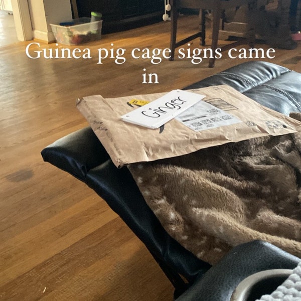 Thin Gold Line Punisher Skull Dispatcher Car Decal. Vinyl Decal. Police ...