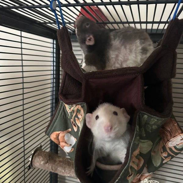 Corner House for Rats, Sugar Gliders, Ferrets, Corner Hammock, Corner ...