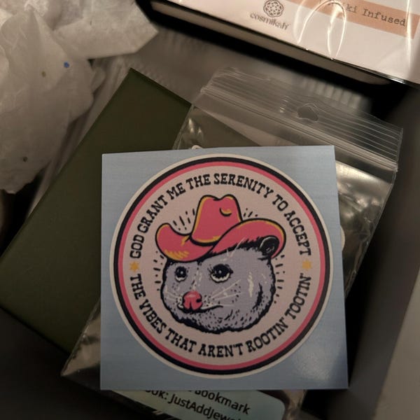 Cowboy Opossum Sticker: Funny Western Retro Decal - Etsy