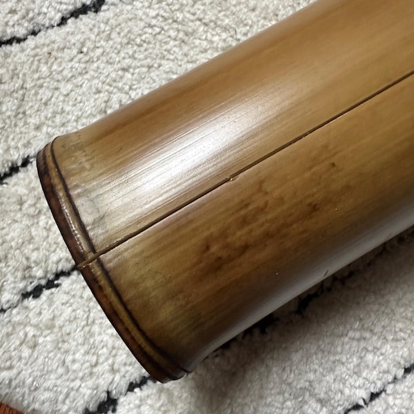 1" Fresh Cut Bamboo - Choose From 1 to 8 Feet Long - Etsy