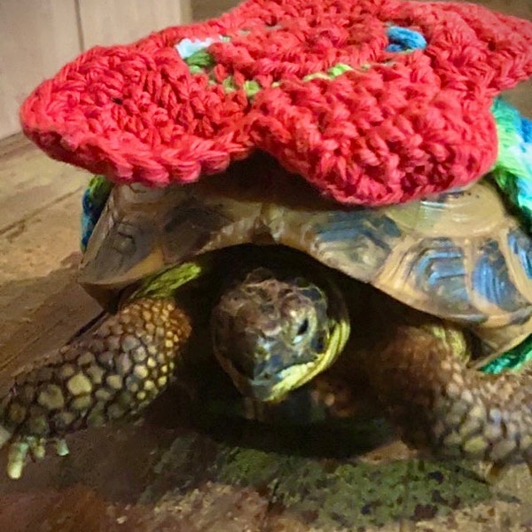 NEW Crochet PATTERN Instructions for Santa Hat Cozy for Tortoises - Etsy
