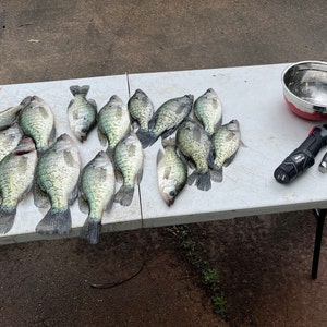 Blue Phantom Crappie Fishing Jigs - Etsy
