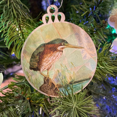 American Bittern Art Bird Painting Bird Artwork Watercolor Bird Wadding ...