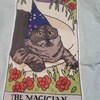 Wizard Cat the Magician T Shirt, Tarot Card Shirt, Witchy Clothing ...