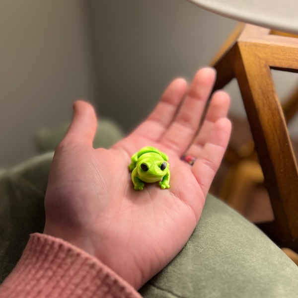 Fidget Frog Fidget Toy, Articulated Sensory Toy, Tiny Frogs, Flexible ...