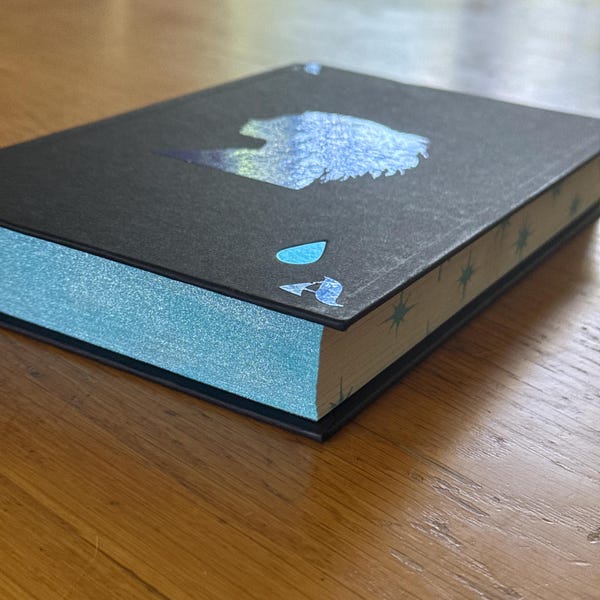 Infatuated Fae by Jeneane O'riley How Does It Feel? and What Did You Do ...