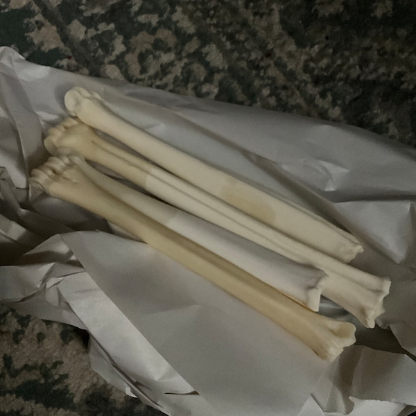2 Deer Leg Cannon Bones Metacarpal Metatarsal - Etsy