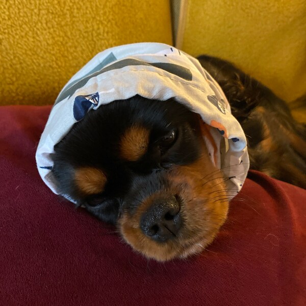 Cotton Dog Snood | Summer Snoods for Dogs | Dog Ear Protector ...