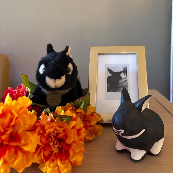 Black Frenchie Cremation Urn - Etsy