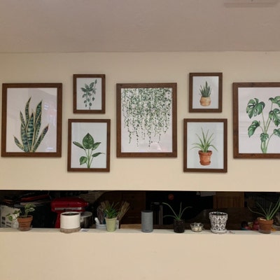 Houseplant Art, Botanical Print Set, Plant Posters, Set of 6 Leaf ...