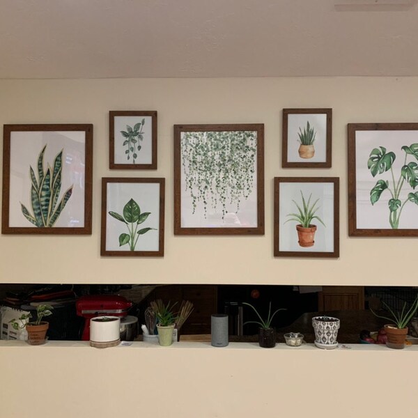 Houseplant Art, Botanical Print Set, Plant Posters, Set of 6 Leaf ...