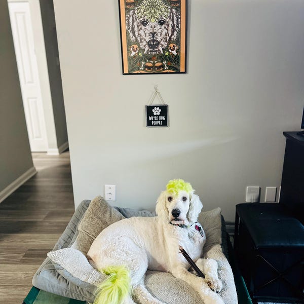 Funky Halloween Prints Set of 3 Piece Wall Art, Retro Halloween Prints ...