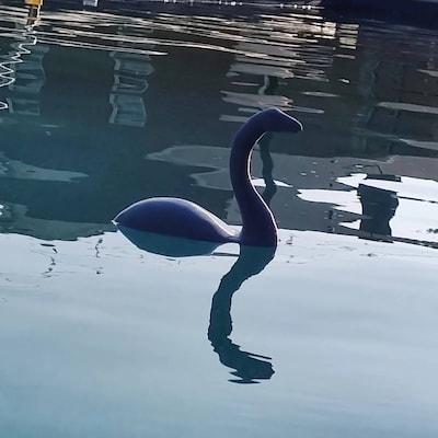 Nessie the Loch Ness Monster Floating Pool Thermometer - Etsy