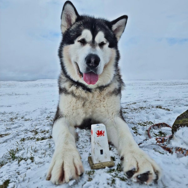 Personalised OS Trig Point Model - Plain White With Your Choice of Text ...