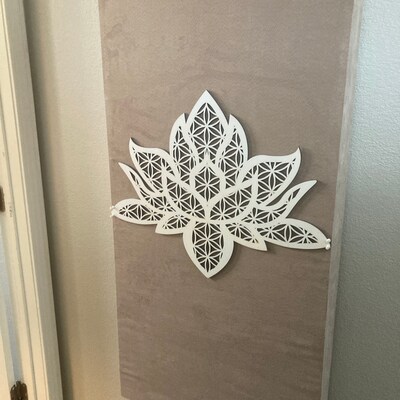 Pink Apache Plume Colorado Wildflower Flowering Bush in - Etsy