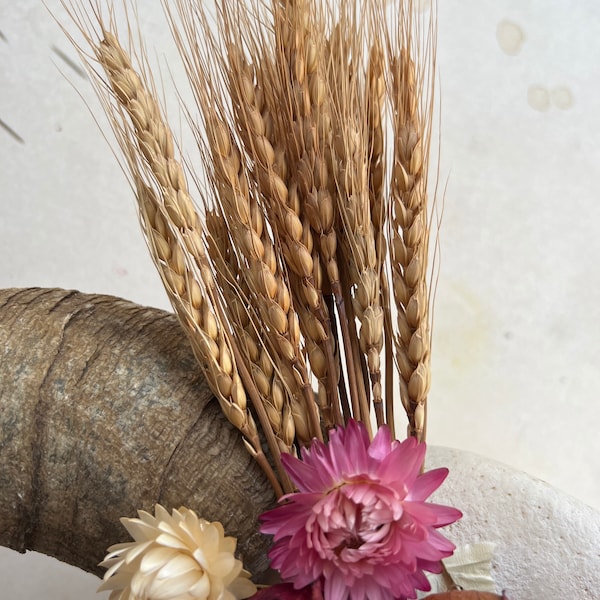 100 Stem Wheat/natural Wheat/wheat Bouquet/wedding Home Decoration - Etsy