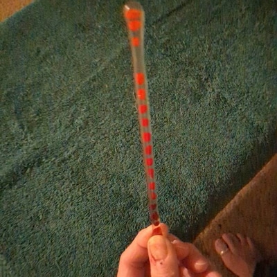 Studiotica Secret Garden Tropical Hibiscus Handmade Glass Swizzle ...