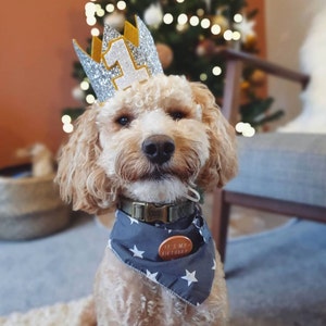 Mustard Birthday Crown Half Birthday Crown Baby 1st | Etsy UK