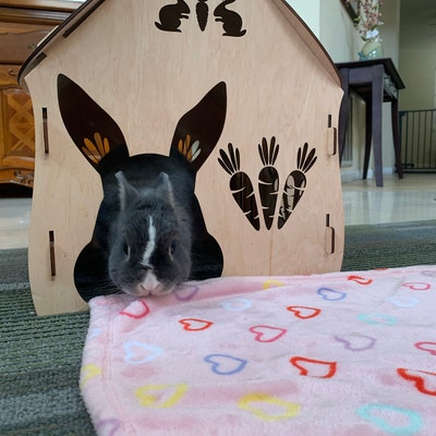 Giant Castle for Your Lovely Rabbit - Etsy
