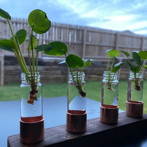 Copper Propagation Station Vessel Flower Buds Vase - Etsy