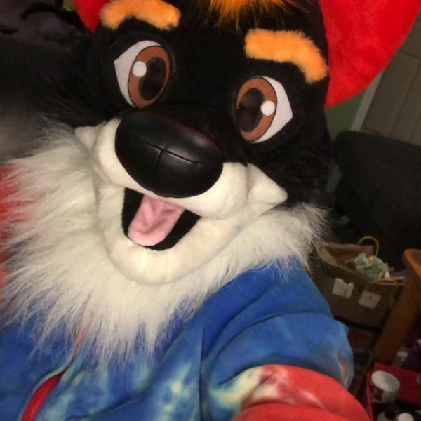 Fennec Fox Fursuit Partial, Fox Fursuit Head and Hand Paws, Premade Fursuit - Etsy